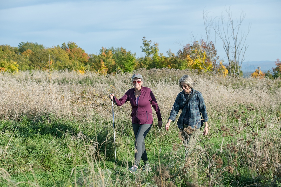 Where on the Farm? Lone Tree Hill | Shelburne Farms